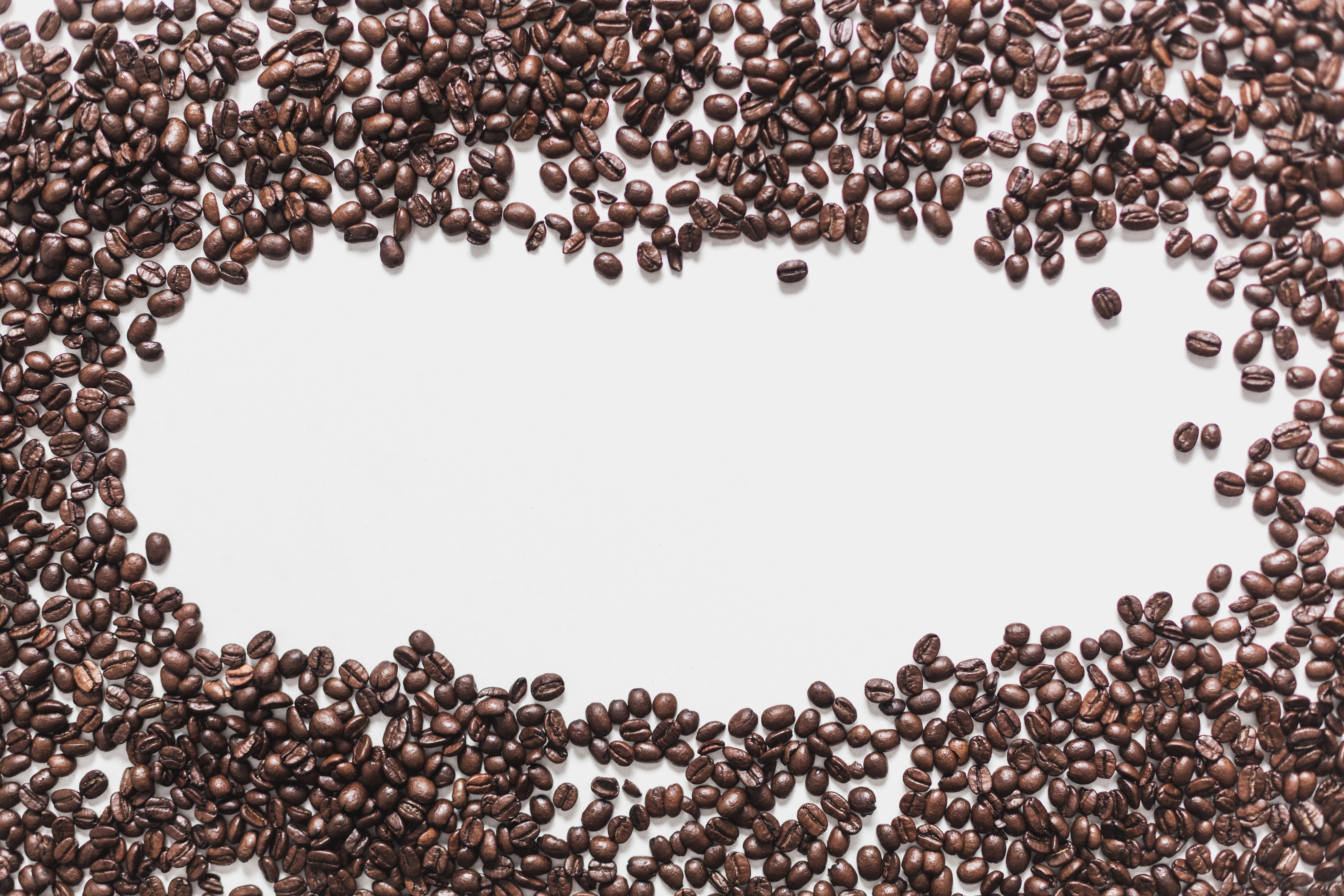 Specialty Coffee Academy of India – scai.coffee
