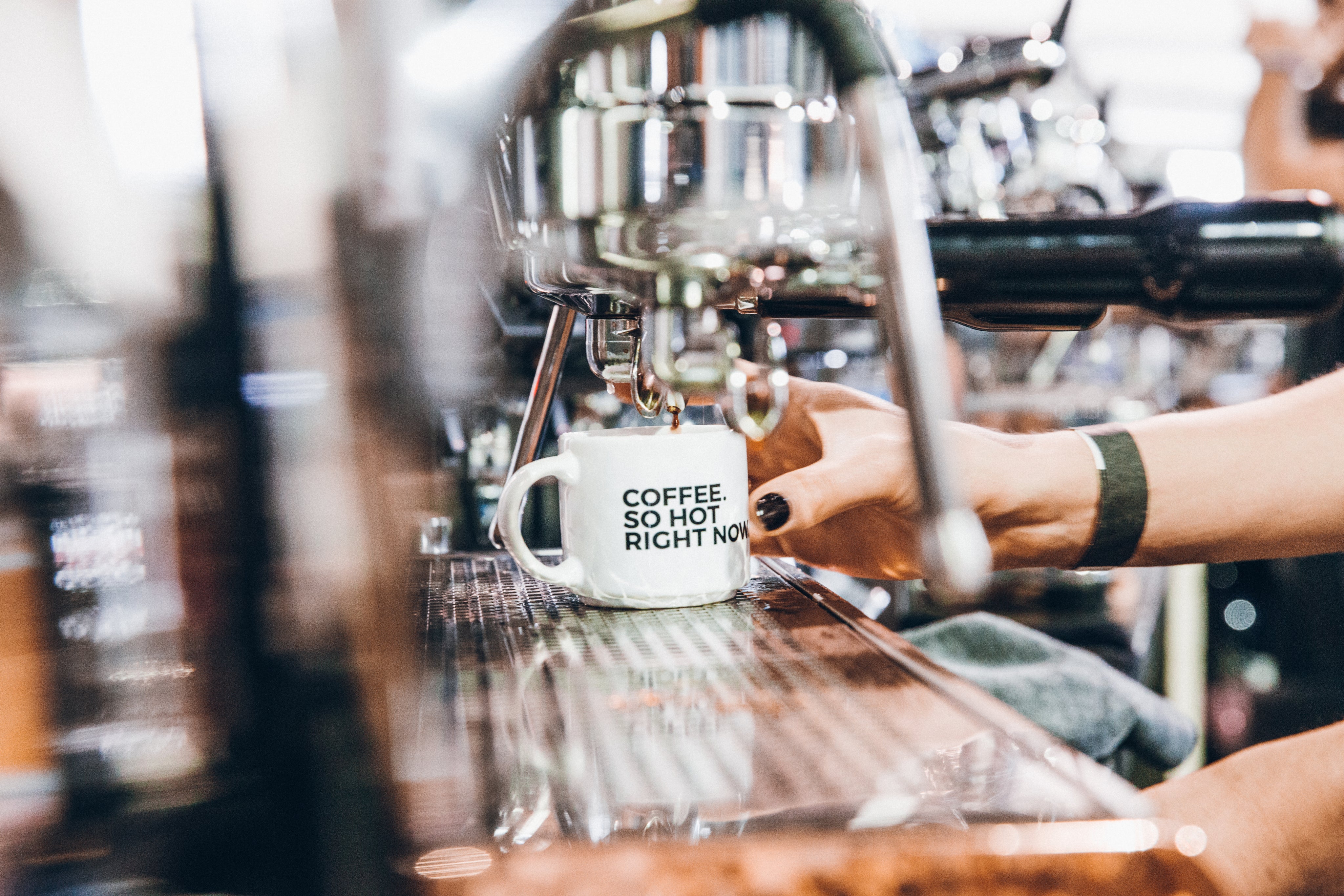 Specialty Coffee Academy of India – scai.coffee